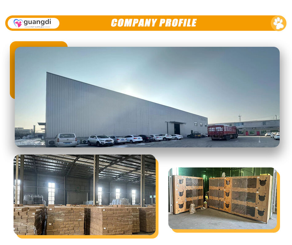 Buy Wholesale China Hot Selling Cat Litter Factory Oem / Odm Multi ...