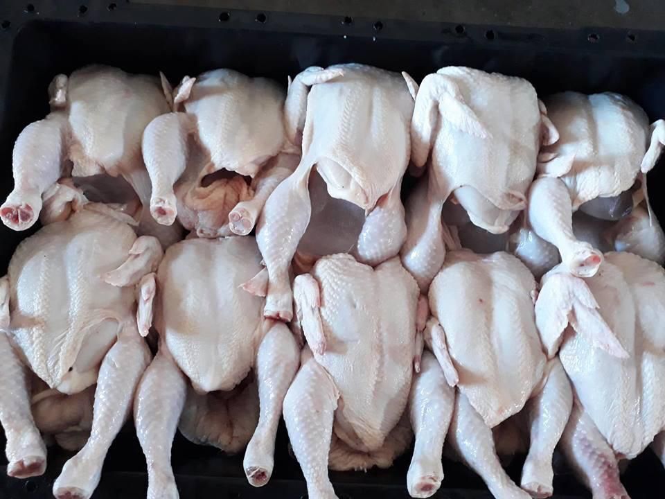 Buy Wholesale Canada Top Quality Halal Frozen Chicken Wings | Halal ...