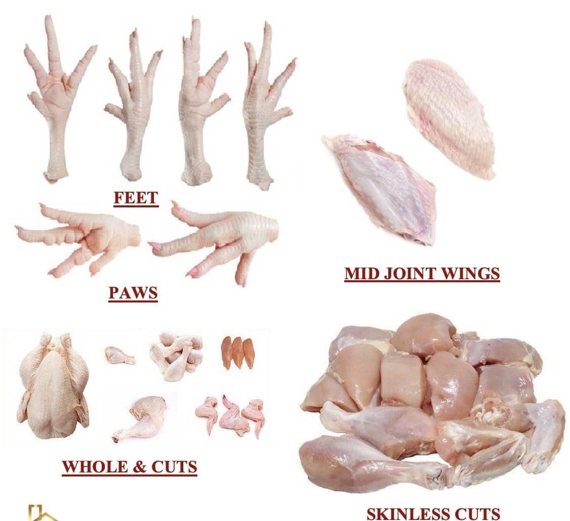 Buy Wholesale Canada Halal Frozen Chicken Mid Joint Wings / 3 Joint ...