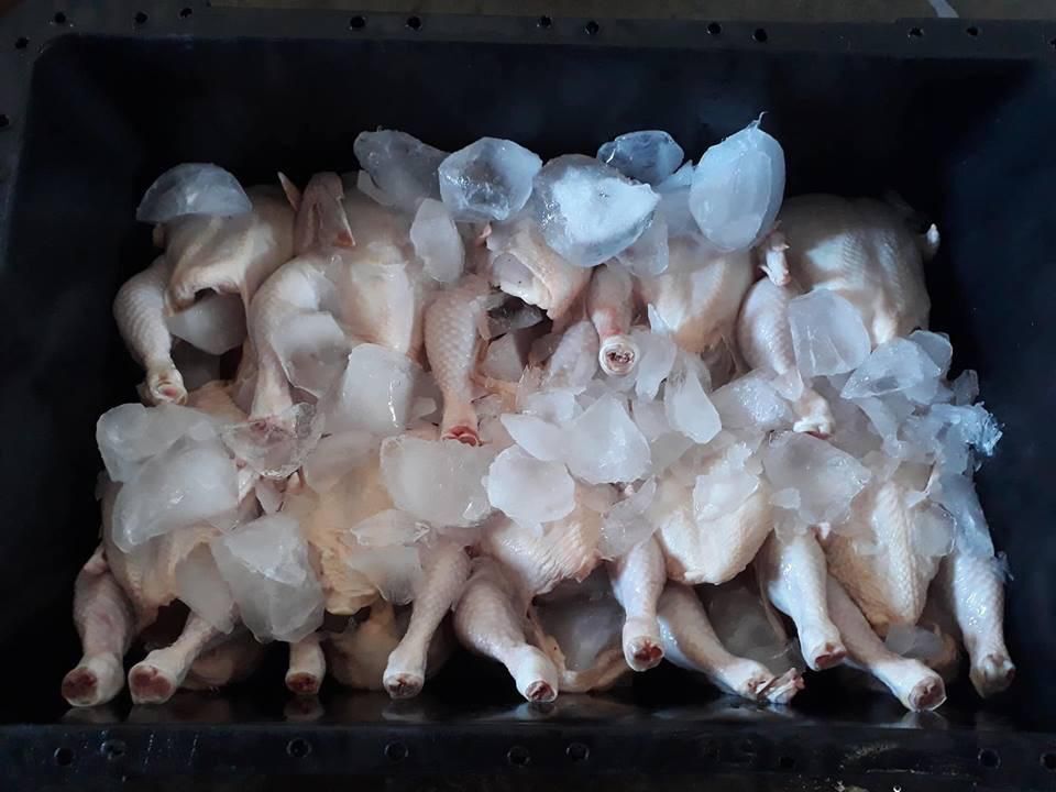 Buy Wholesale Canada Top Quality Halal Frozen Chicken Wings | Halal ...