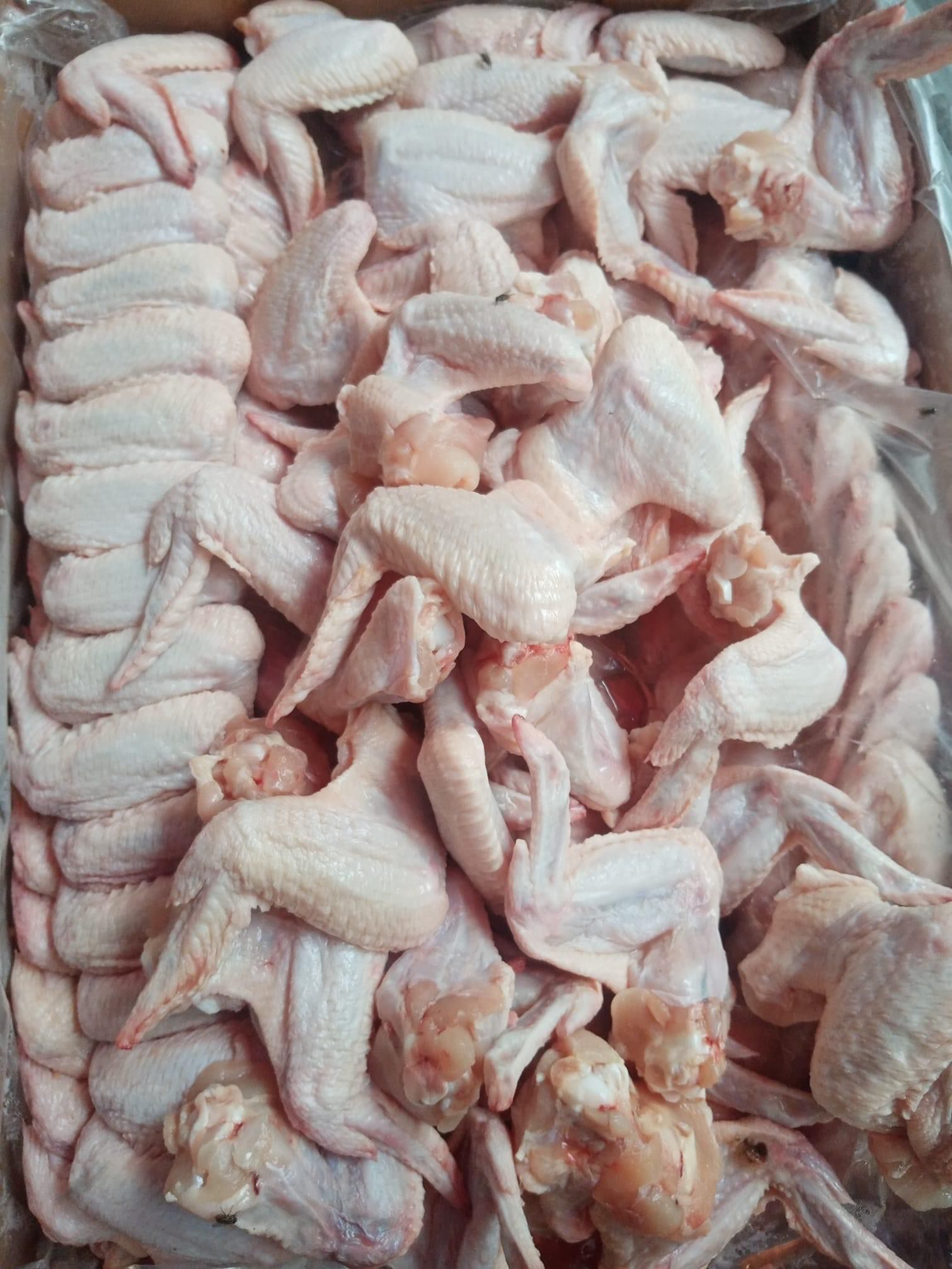 Buy Wholesale Canada Halal Frozen Chicken Mid Joint Wings / 3 Joint ...