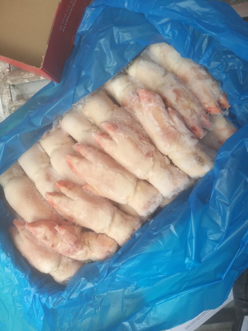 Buy Wholesale Canada Top Quality Halal Frozen Chicken Wings | Halal ...
