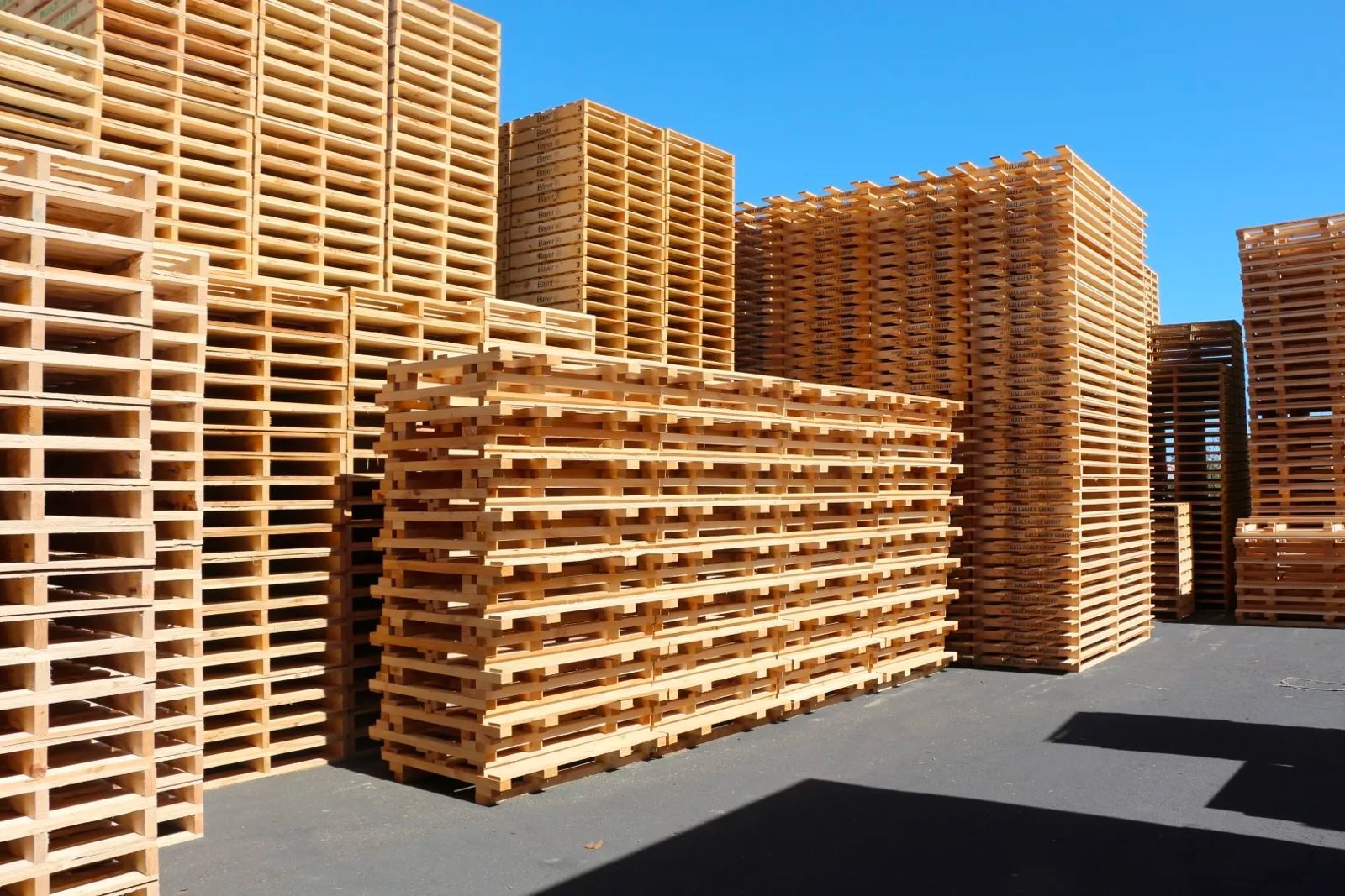 Euro Pallet Standard Size 1200 X 800 Pine Wood/ Wood Pallet Pallet At ...