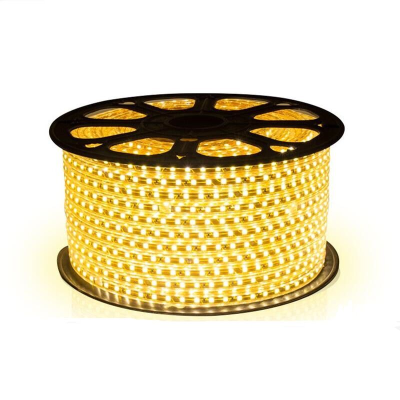 Outdoor Holiday Lighting Flexible Led Light Strip 50m 100m Ip67 ...
