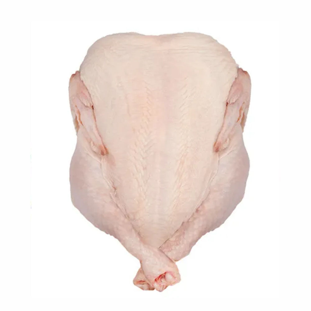 Buy Wholesale Canada Wholesale Chicken Frozen Wholesale Cheap Price ...