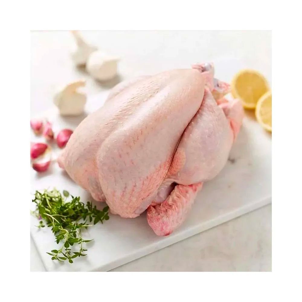 Buy Wholesale Canada Top Quality Halal Frozen Chicken Wings | Halal ...