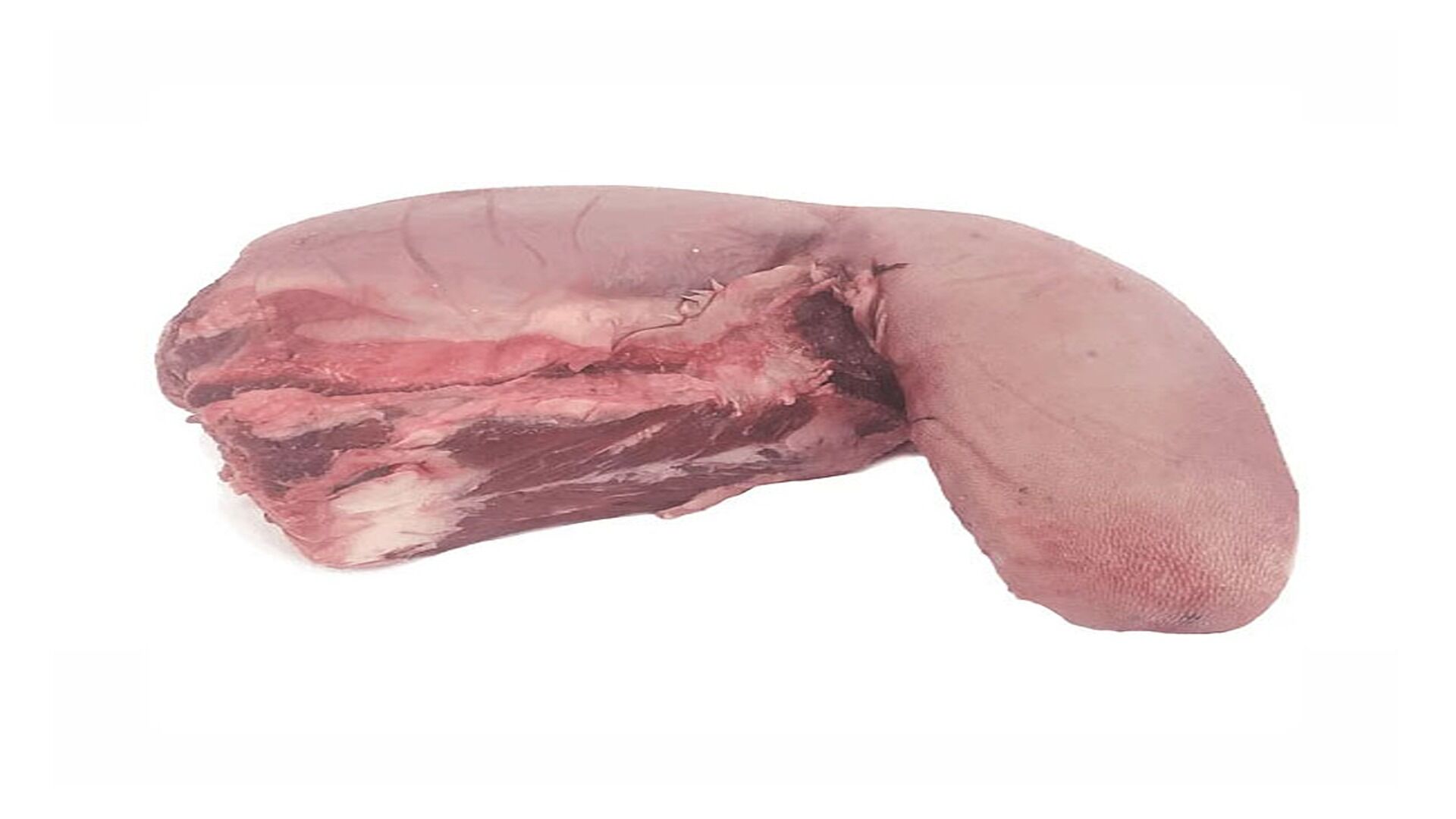 Top Quality Beef Tongue Frozen Buffalo Frozen Tongue Wholesale Price ...