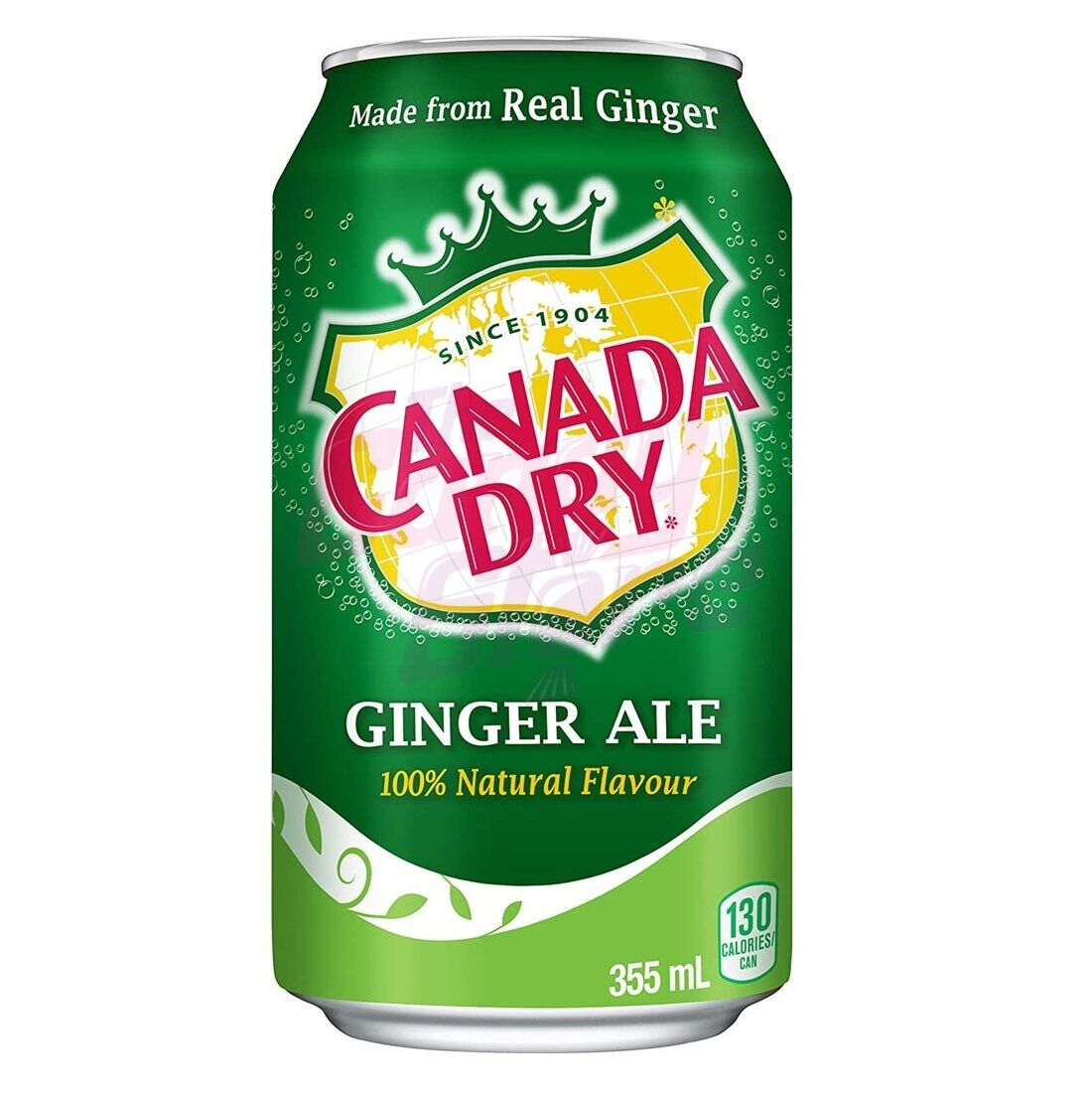 Buy Wholesale United States Canada Dry Ginger Carbonated Drink 355 Ml ...