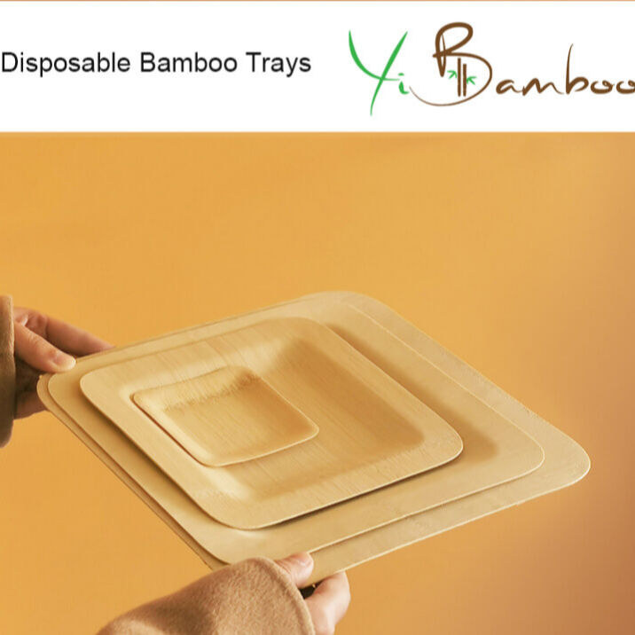 Buy Wholesale China Creativity Disposable Square Bamboo Plate ...
