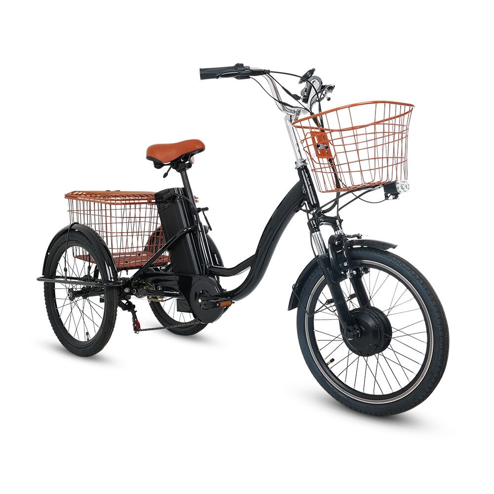 Bulk Buy China Wholesale Long Range 20 Inch Electric Trike Steel Frame ...