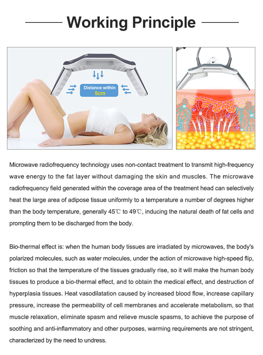 Buy Wholesale China Radio Frequency Body Sculpting Equipment Fat ...