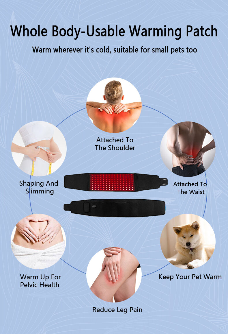 Cordless Electric Lumbar Support Physical Therapy Heating Vibration ...