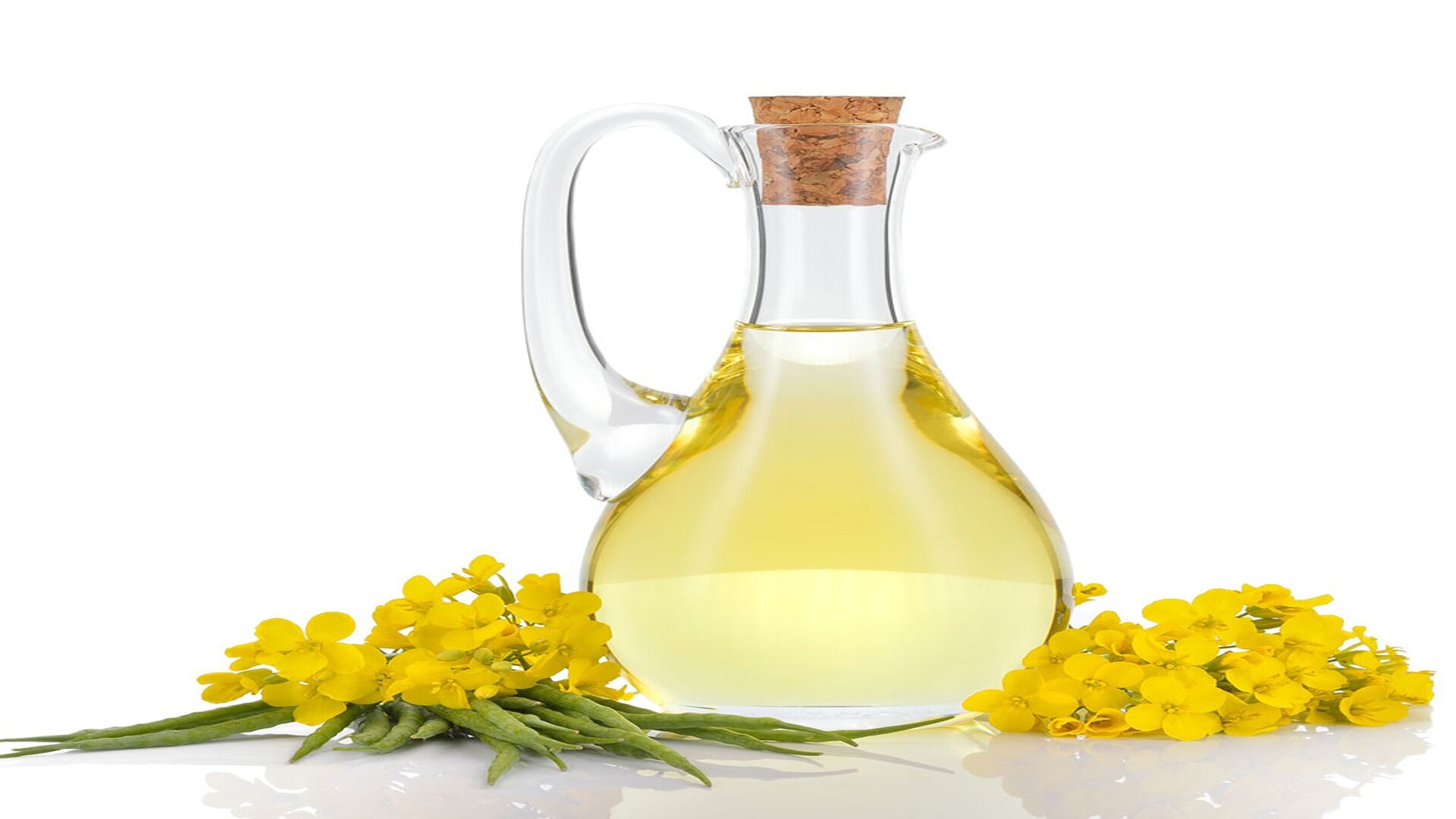 Buy Canada Wholesale Top Quality Wholesale Finest Price Rapeseed Oil ...
