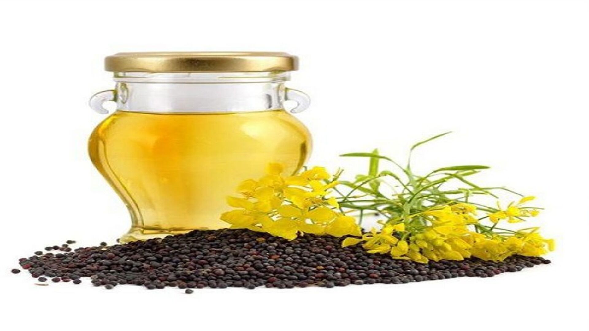 Buy Canada Wholesale Top Quality Wholesale Finest Price Rapeseed Oil ...