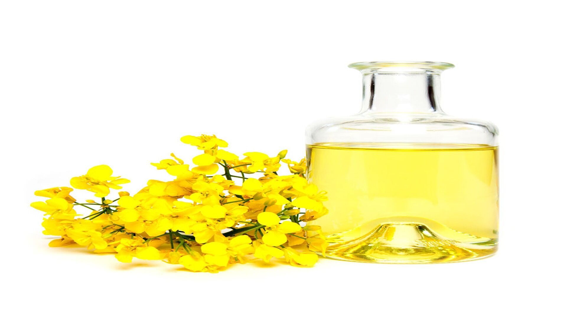 Buy Canada Wholesale Top Quality Wholesale Finest Price Rapeseed Oil ...