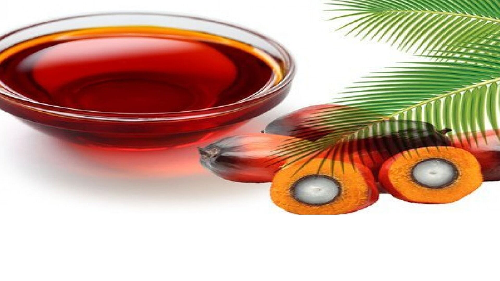 Buy Wholesale Canada Wholesale 100% Pure Palm Oil With Private Label ...