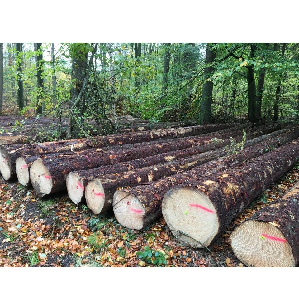 Buy Wholesale United States Wholesale Wood Supplier | Spruce Round Logs ...