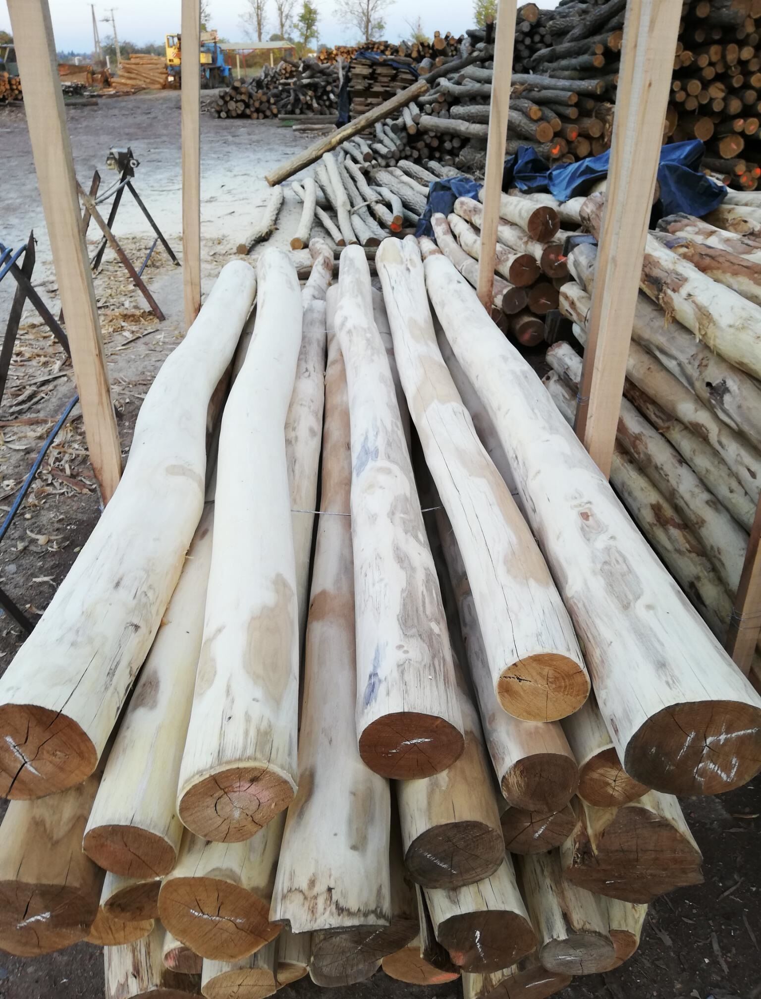 Wood Acacia Poles 80 Mm X 2 M / Other Customize Sizes, Acacia Wood ...
