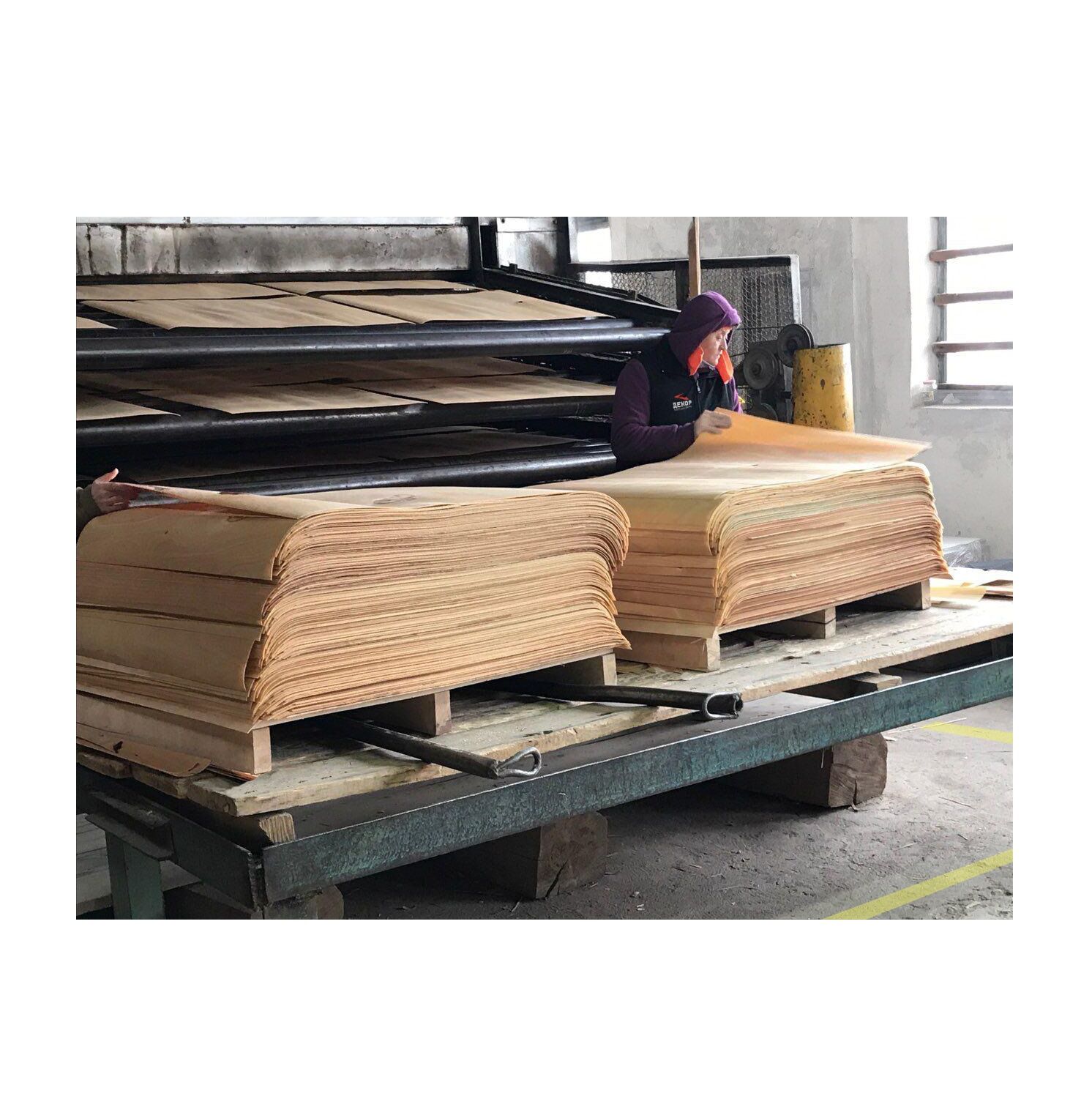 Buy Wholesale United States Rotary-cut Beech Veneer Sheets | Wholesale ...