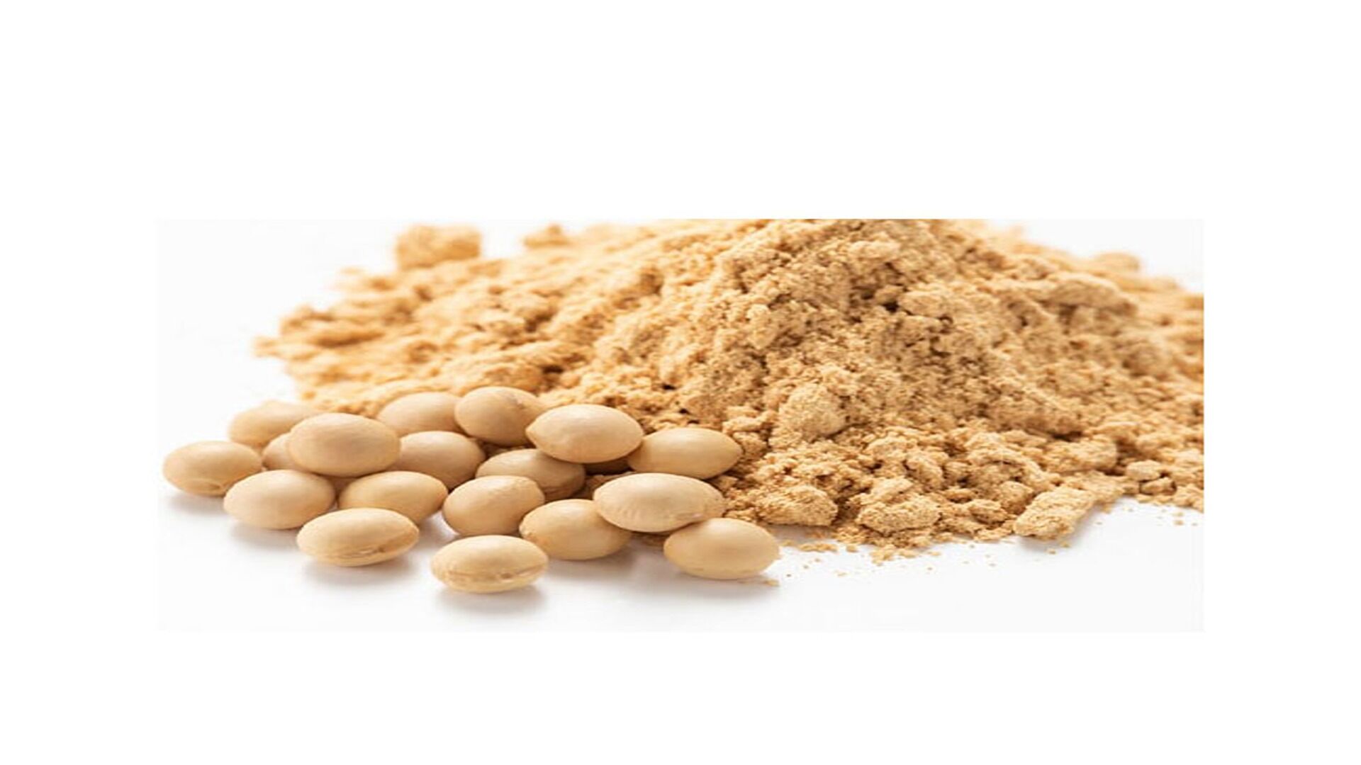 Buy Wholesale Canada Best Selling Supplier Soybean Meal Animal Feed Top ...