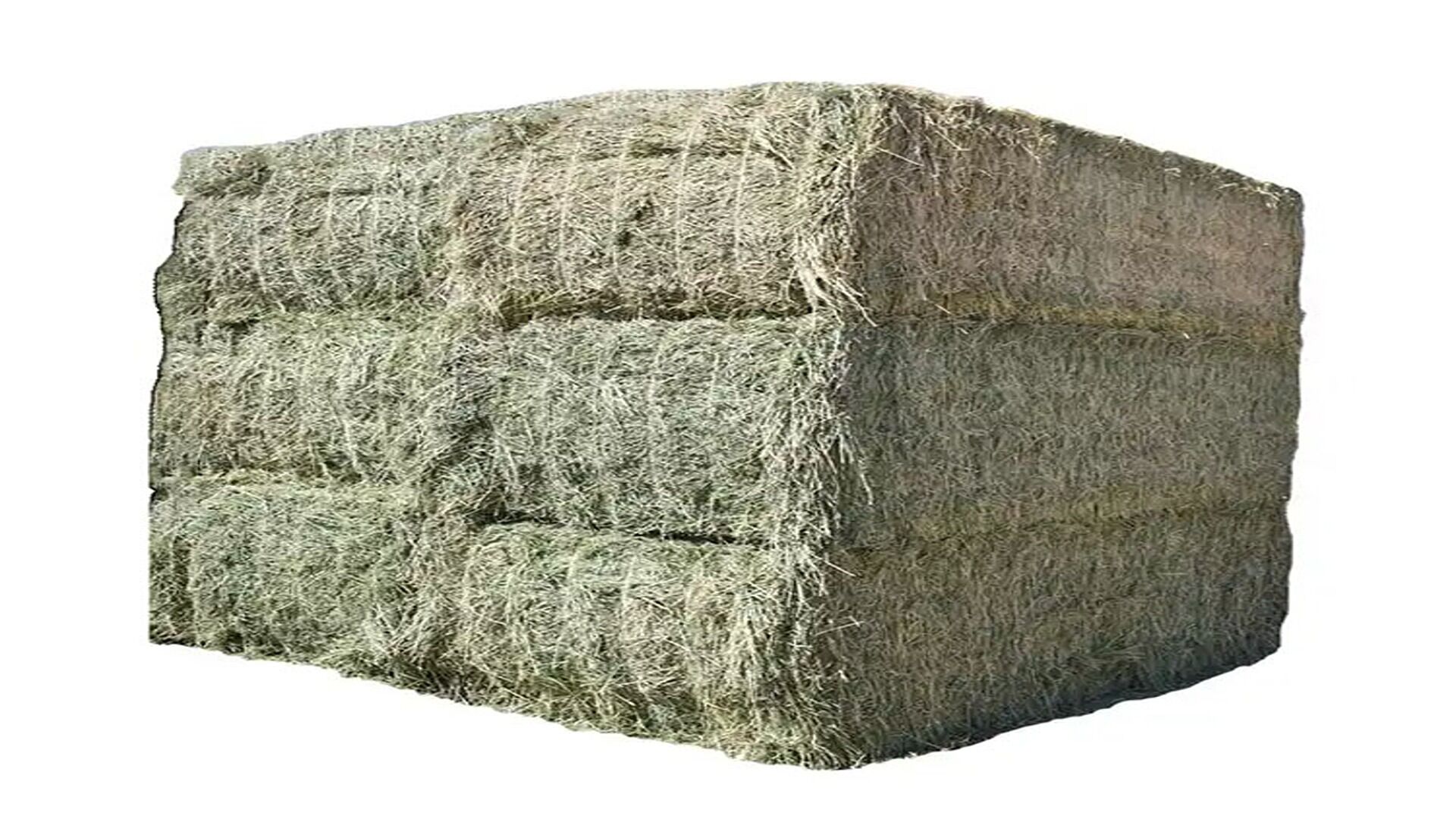 Buy Wholesale Canada Best Quality Hay All Kinds Bone Meal Soybean Meal ...