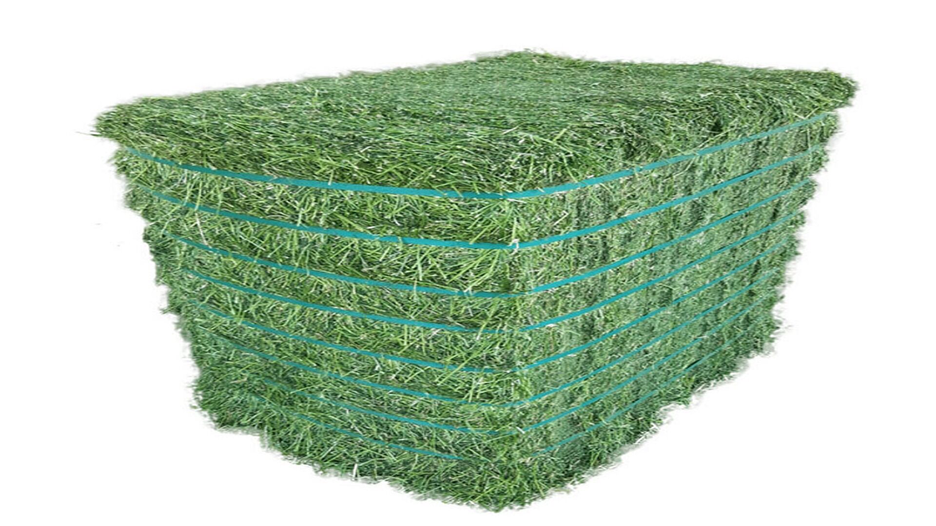 Buy Wholesale Canada Wholesale Hay All Kinds Bone Meal Soybean Meal ...