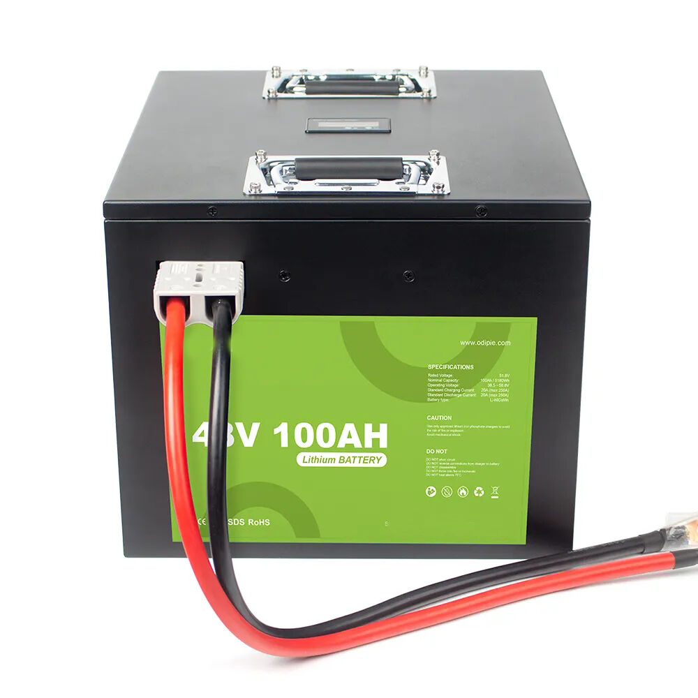 Lithmate Support Huge Current 100ah 48 Volt Lithium Golf Cart Battery ...