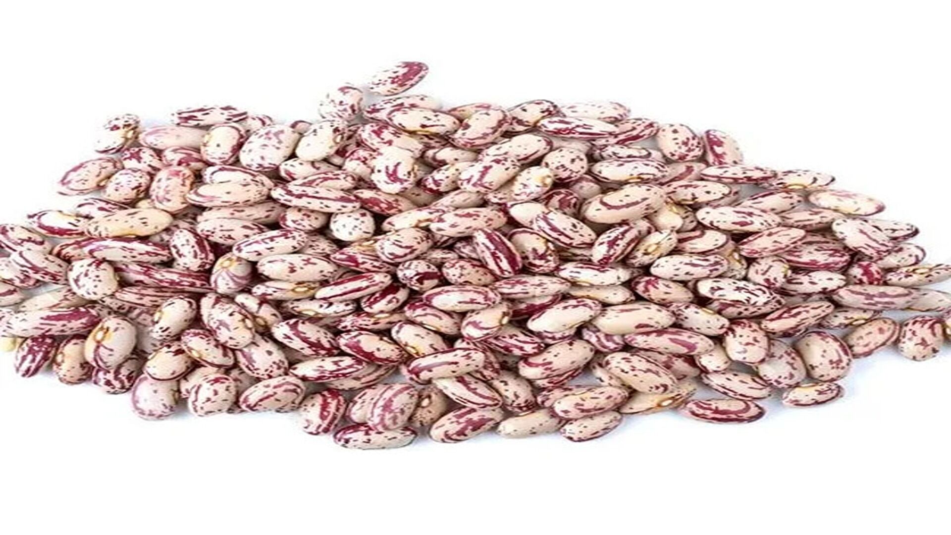 Buy Wholesale Canada Cheap Price Supplier Pinto Beans High Protein Bean ...