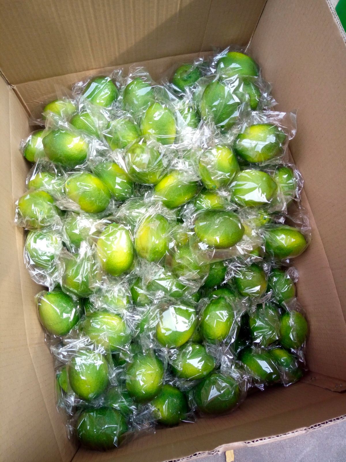 Fresh Yellow & Green Lemon | Wholesale Fresh Navel Oranges Fresh Lemons ...