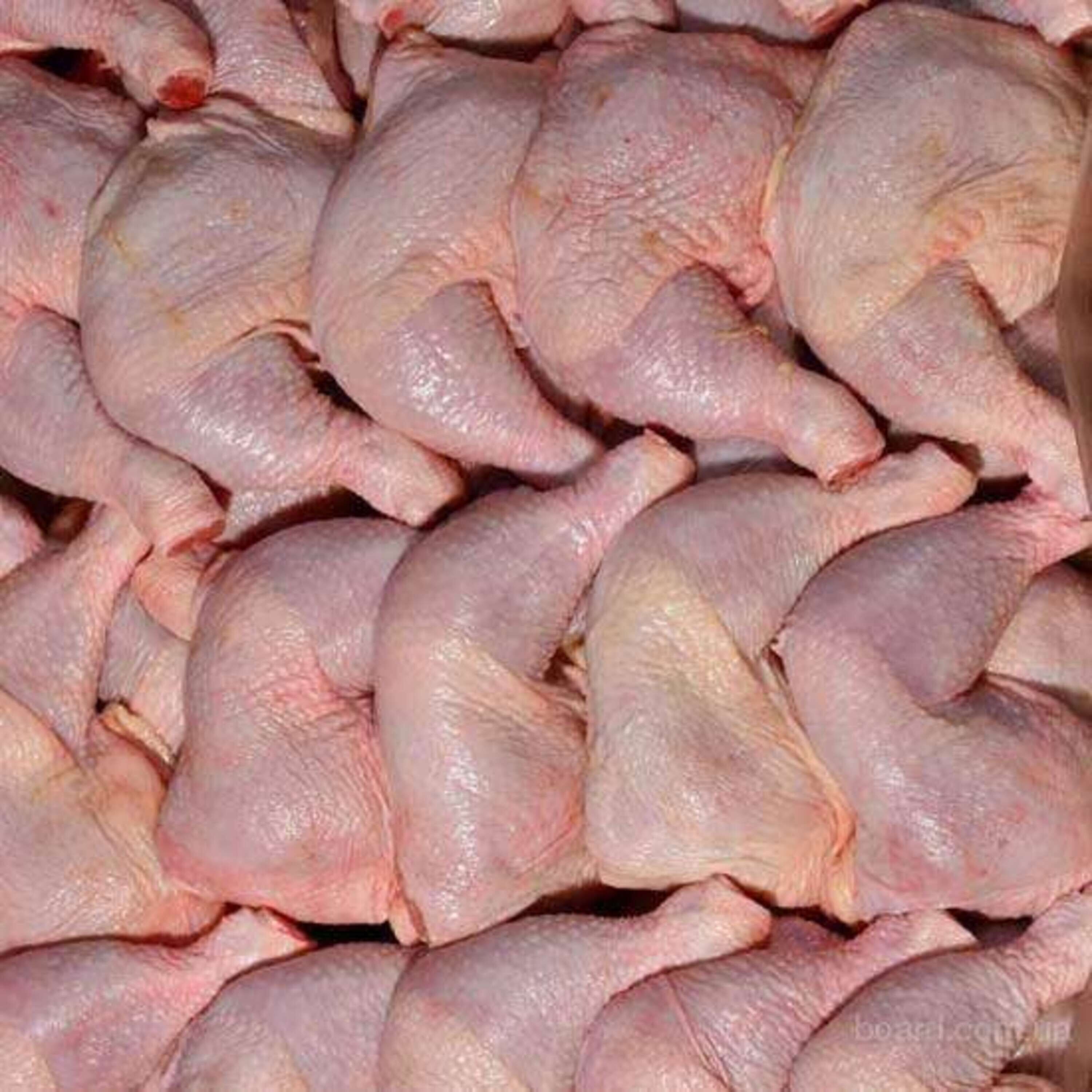 Wholesale Suppliers Premium Quality Halal Frozen Whole Chicken And ...