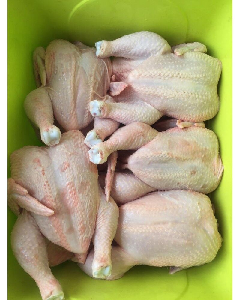 High Quality Healthy And Natural Frozen Iqf Whole Chicken - United ...