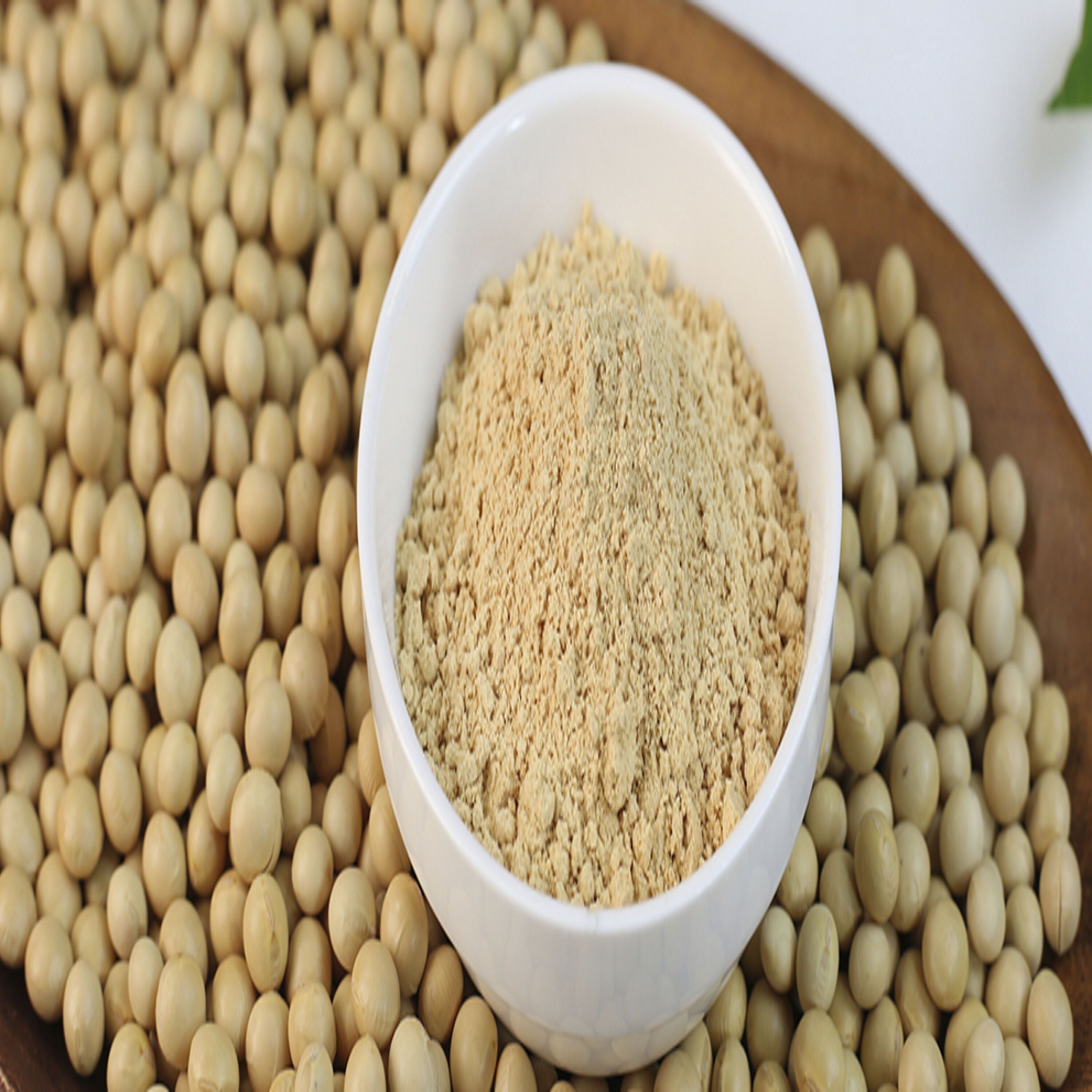 High Protein Animal Feed Soybean Meal / Quality Soya Bean Meal For Sale ...