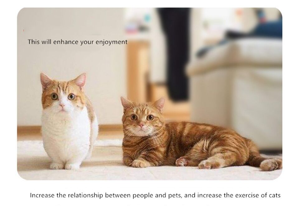 Buy Wholesale China Hot-selling Cat Toy Two-section Cat-stick Diy Set ...