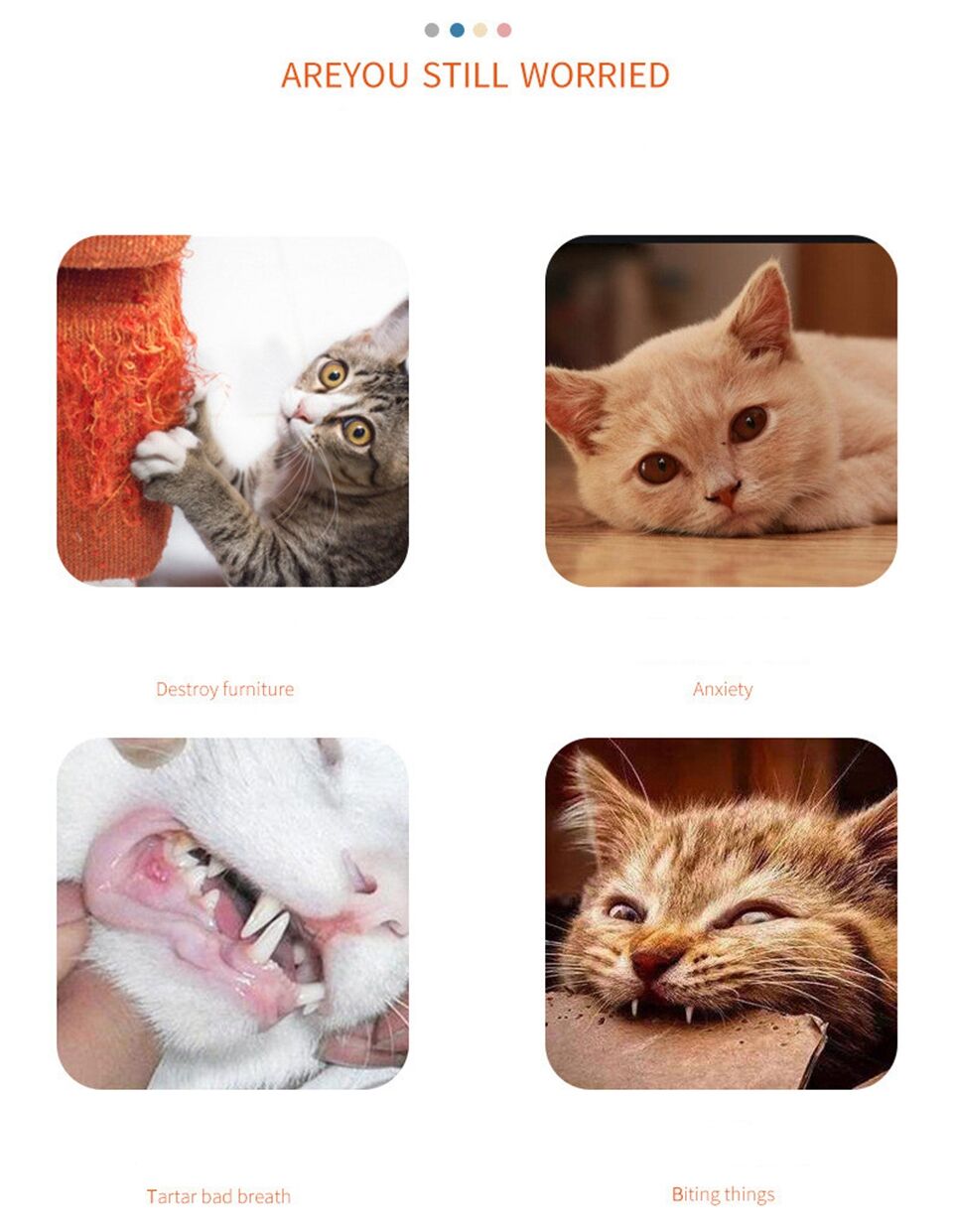 Buy Wholesale China Hot-selling Cat Toy Two-section Cat-stick Diy Set ...