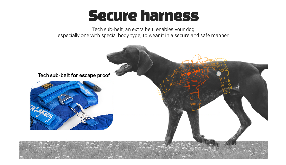 Dog Harness/tech Harness With Adjustable Chest Webbing Made Of High ...