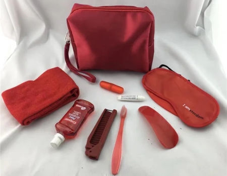 Free Sample Of Dental Care Kits Travel Bag Set Toothbrush Travel Kit ...