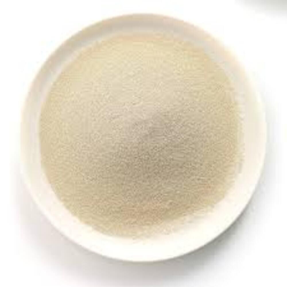 Buy Wholesale Canada Dried Yeast Powder Dry Yeast Selenium Enriched ...