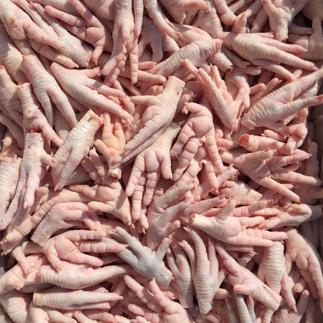 Grade A Brazil Frozen Chicken Feet / Frozen Chicken Feet Supplier/buy ...