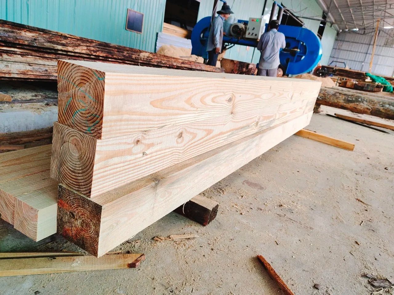 Buy Wholesale Canada European Hard Wood Timber | Lumber | Logs | Red ...