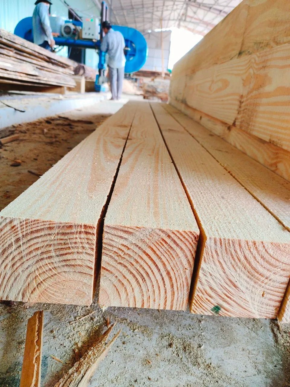 Buy Wholesale Canada European Hard Wood Timber | Lumber | Logs | Red ...