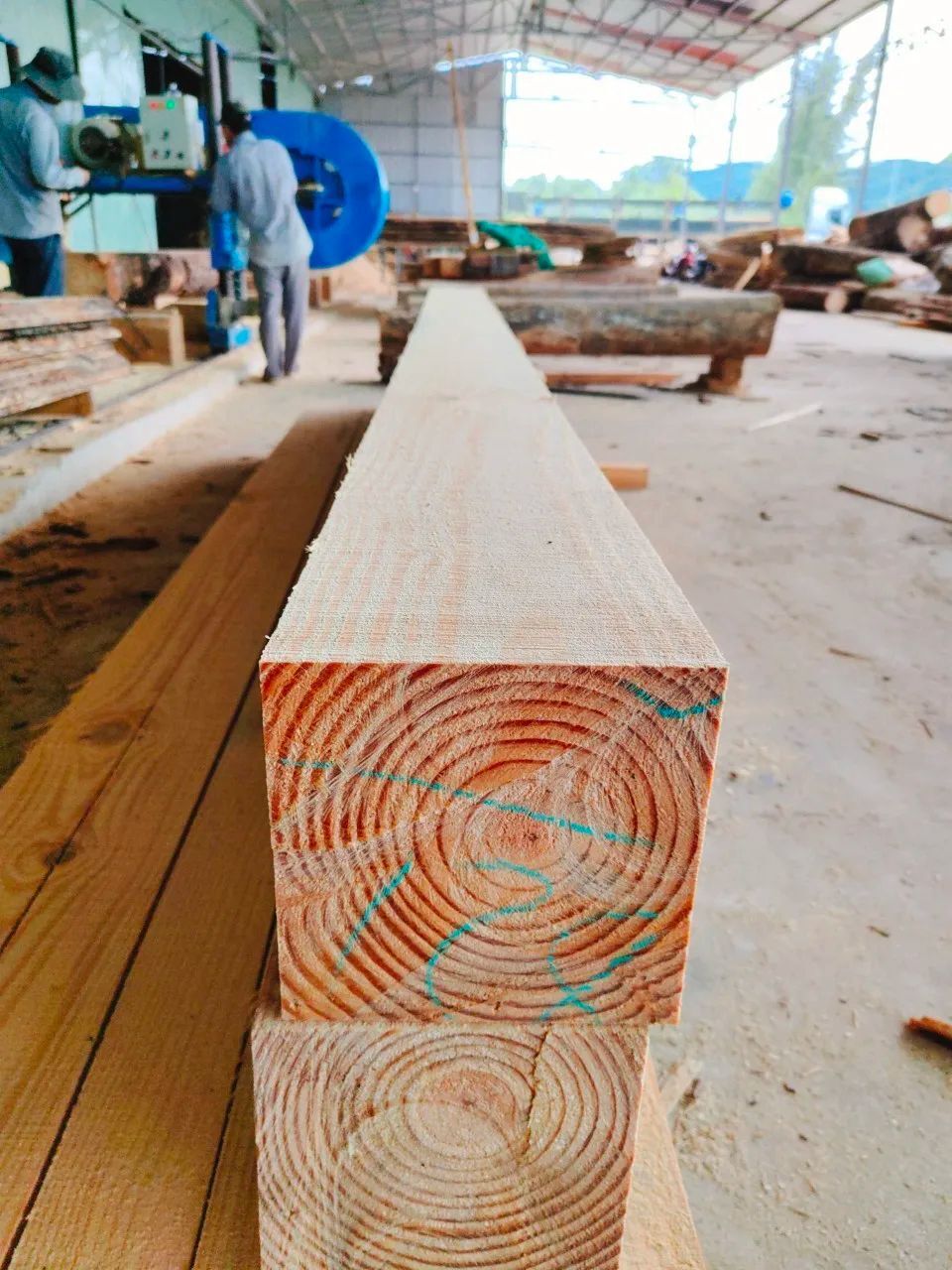 Buy Wholesale Canada European Hard Wood Timber | Lumber | Logs | Red ...