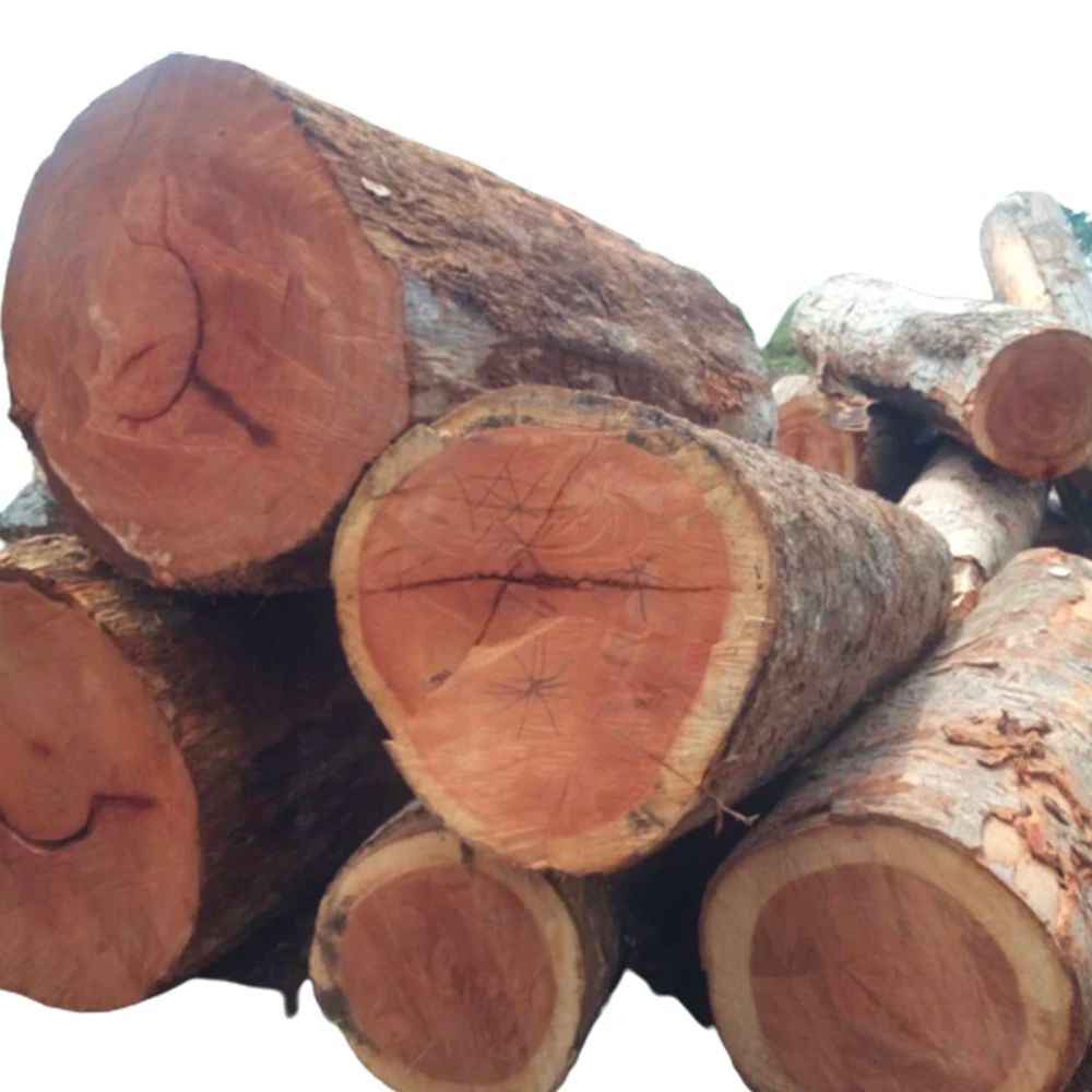 Buy Wholesale Canada European Hard Wood Timber | Lumber | Logs | Red ...
