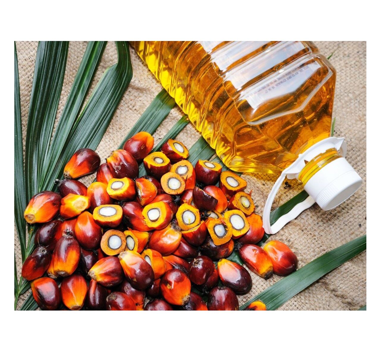 Premium Quality Cooking Oil Suppliers /refine Palm Oil In Reasonable ...