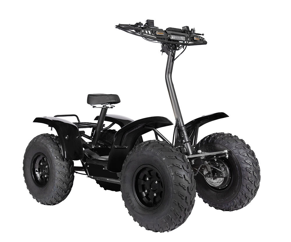 Buy Wholesale China Atv Aero 3s T-rex Atv Sightseeing 3 Wheel Drive ...
