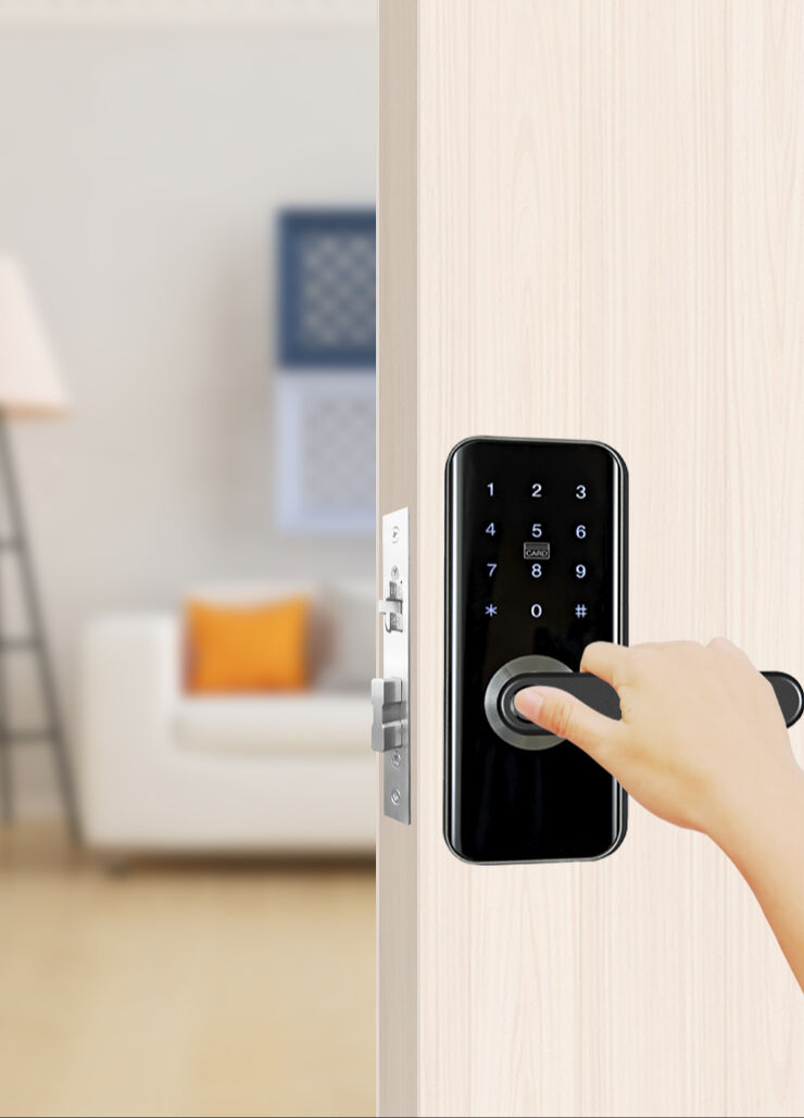 Sinovotec Digit Electric Electronic Handle Digital Tuya Ttlock ...