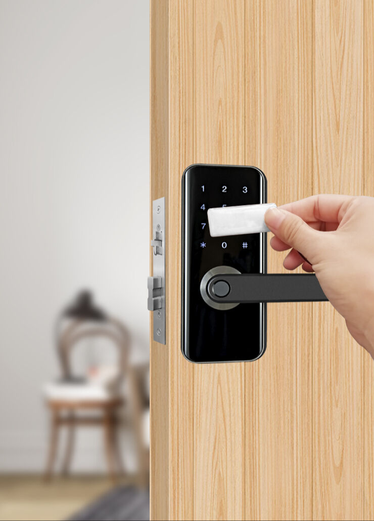 Sinovotec Digit Electric Electronic Handle Digital Tuya Ttlock ...