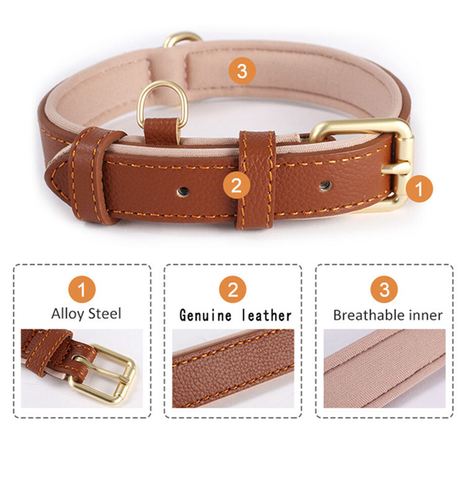 Factory Direct High Quality China Wholesale Litchi Grain Dog Collar ...