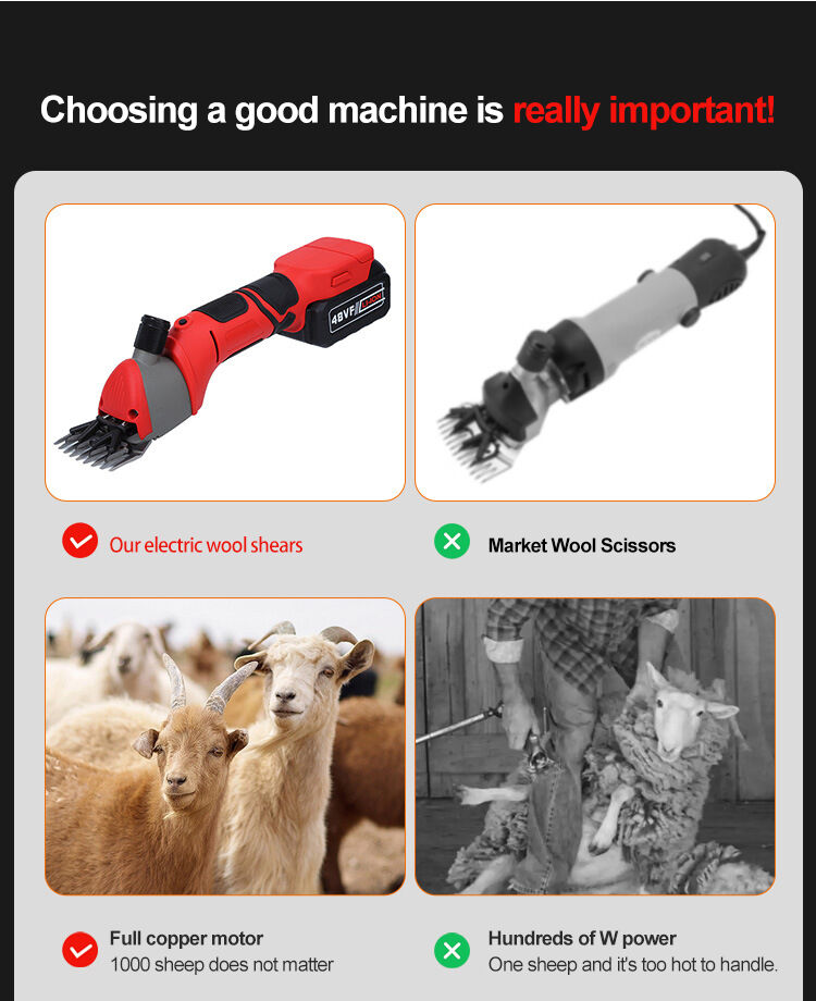 Buy Wholesale China Ananke Tools Cordless Sheep Shearing High Power Electric Sheep Shearing ...