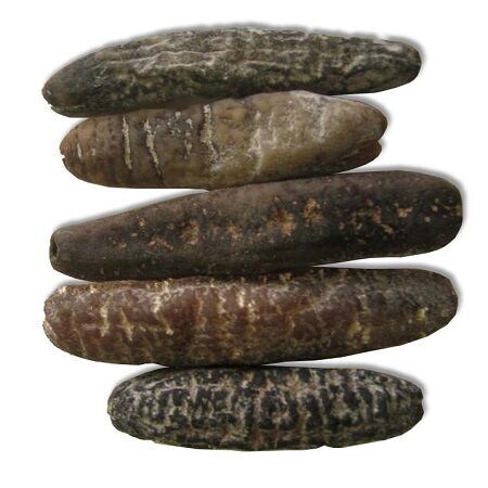 Bulk Buy United Kingdom Wholesale Wholesale High Protein Low Calorie ...