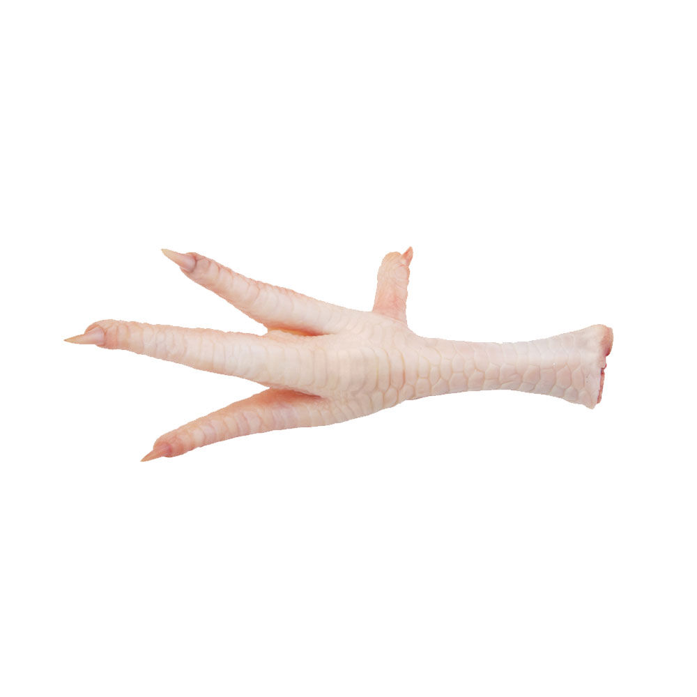 Buy Wholesale Thailand Natural Quality Halal Frozen Chicken Feet ...